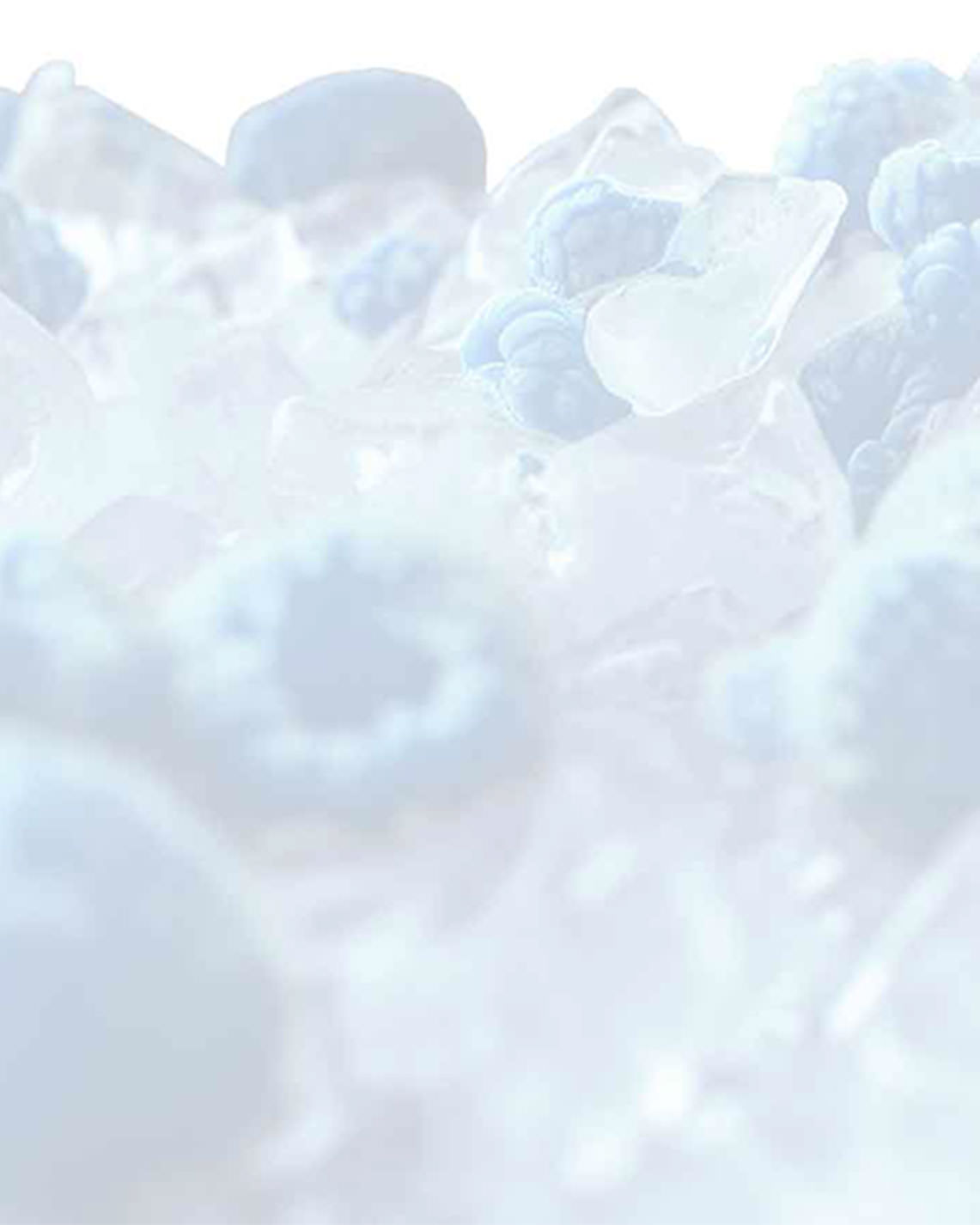 FITAID RX ZERO® Blue Raspberry 12ct