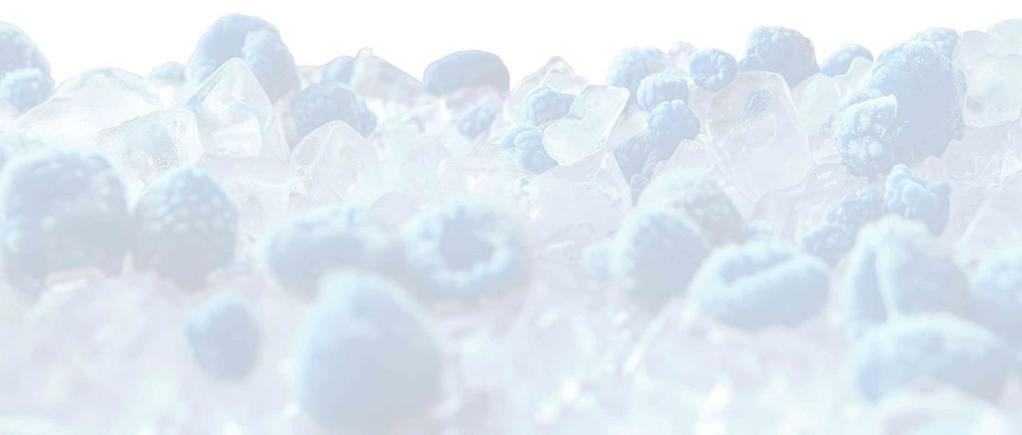 FITAID RX ZERO® Blue Raspberry 12ct